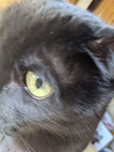 Trig Guild Tier List Community Rankings Tiermaker