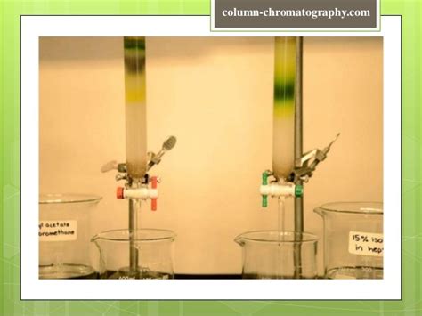 Isolation Of Bioactive Compounds From Medicinal Plants