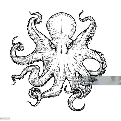 문어 스케치 손 그려진 스타일 복고풍 빈티지 바다 괴물 그림입니다 해산물 및 해상 디자인에 가장 적합합니다 흰색에 벡터