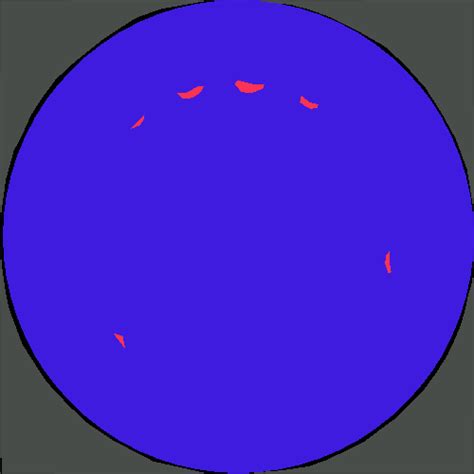 When I Use Cvat For Semantic Segmentation Some Objects Are Missing When I Export The Dataset