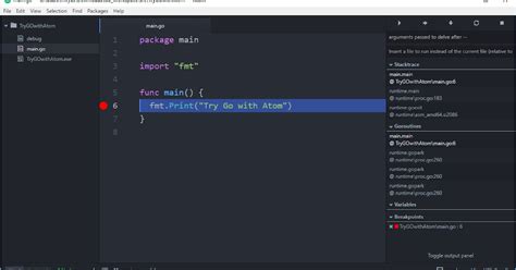 Meeli Vyas Golang Atom Debugger