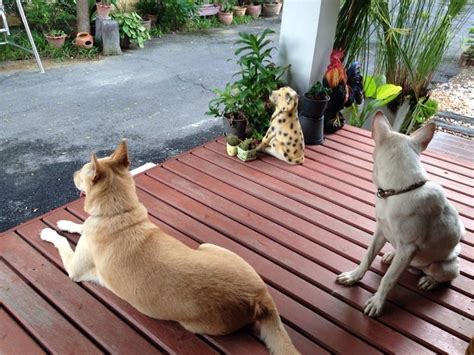 [pin Pin ปักหมุดกับป้าพา] 10 ข้อ หลัง Earth Quake แผ่นดินไหว ภัยธรรมชาติ และอื่นๆ อีกมากมาย