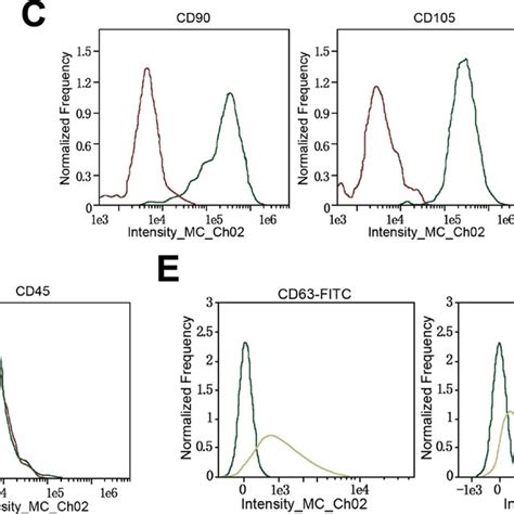 Isolation And Identification Of Mouse Bmscs And Bmscs Derived Download Scientific Diagram