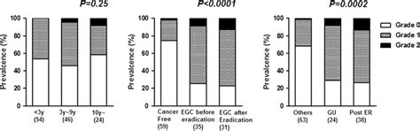 A The Association Between Magnifying Nbi Patterns And Post Eradication
