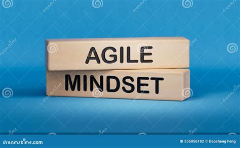 Agile Mindset Framework With Values Principles And Practice Outline