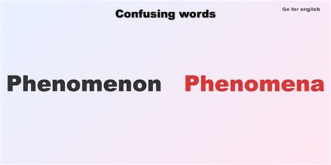 Phenomenon Vs Phenomena Go For English