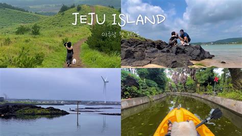 아루랑 첫 제주도 여행 🍊 Youtube