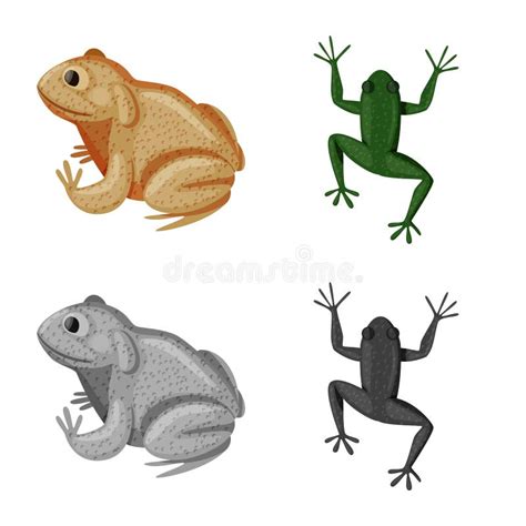 Vector Illustration Of Wildlife And Bog Icon Collection Of Wildlife And Reptile Stock Symbol