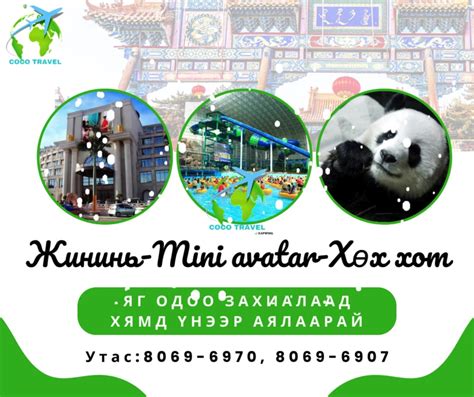 Coco Travel 🌼 ЭРЭЭН ЖИНИН Mini Avatar ХӨХ ХОТЫН АЯЛАЛ