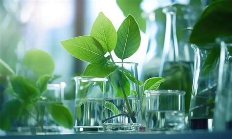 Microsampling Advanced Solutions Testing And Service Mediford Corporation