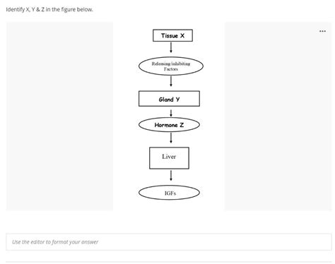 Solved Identify X Y Z In The Figure Below Chegg Com