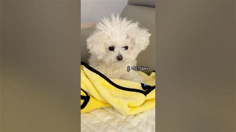 박꼬질 삐짐핑 Youtube