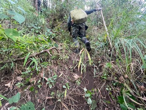 ทหาร กกล ผาเมือง พบเป้ 8 ใบซุกไอซ์รวม 103 กก ริมชายแดน อ ฝาง เชียงใหม่