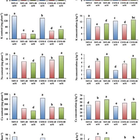 Leaf Nutrient Concentration Dimension In Brackets And Leaf Nutrient Download Scientific