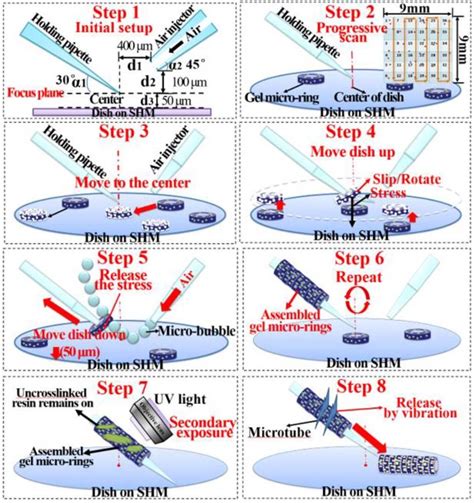 Main Automated Assembly Process Download Scientific Diagram