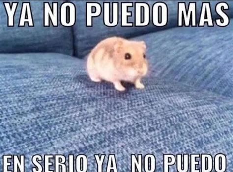 Pico Cuando No Revisan Discord Boludos R Beelcitosmemes