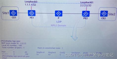 hcip datacom arst自选题库 bgp mpls ip vpn单选【21道题】 某企业业务路由在网络中传递 其中pe1与pe2的