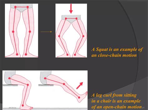 Introduction Of Biomechanics PPT