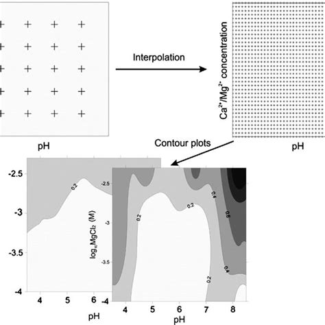Concept Of Matrix And Data Interpolation Download Scientific Diagram