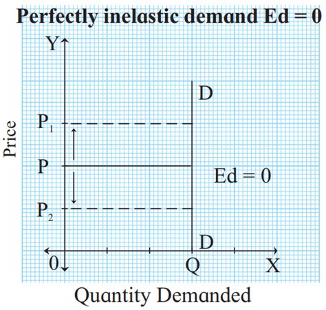 Imaduddin Educare Elasticity Of Demand Class 12 Notes Maharashtra Board Hsc Easy Notes