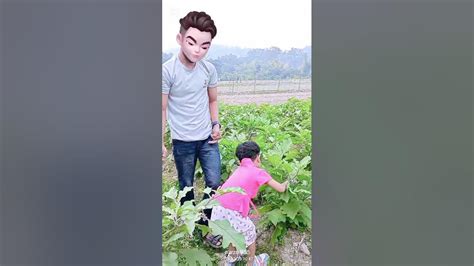 আমাদের বেগুন খেত Youtube