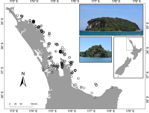 Figure 1 From Integrating Phylogeny And Functional Traits Into Evaluations Of Nestedness In 1