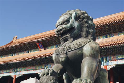 行走的大狮子jpg格式图片下载 熊猫办公