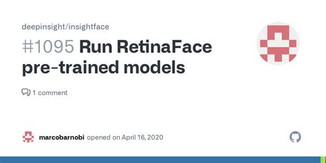 Run RetinaFace Pre Trained Models Issue Deepinsight Insightface GitHub