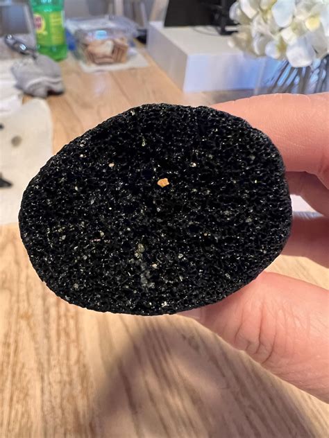 Did I Find A Fossilized Bone R Fossilid