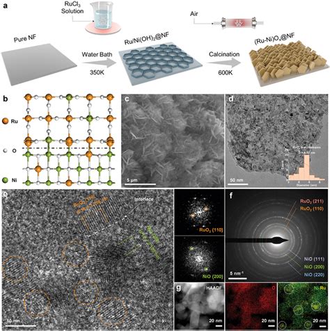 Synthesis And Structural Characterization A Schematic Illustration Of Download Scientific