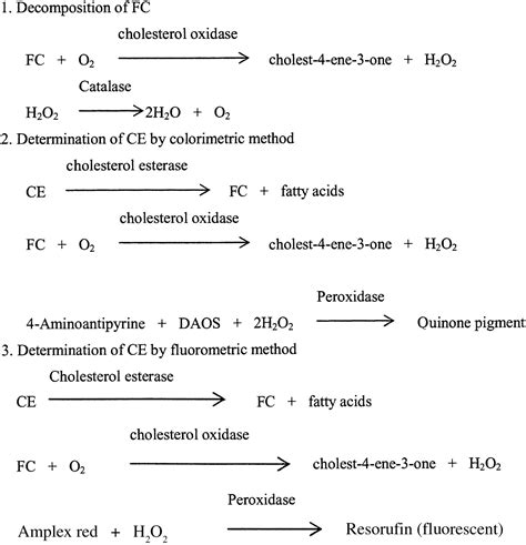 A Method Of Direct Measurement For The Enzymatic Determination Of