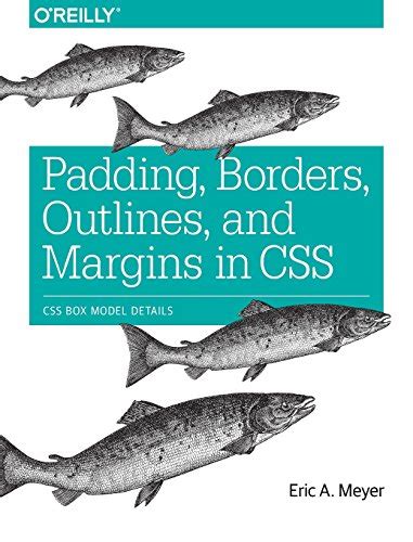 padding borders outlines and margins in css css box model details let me read