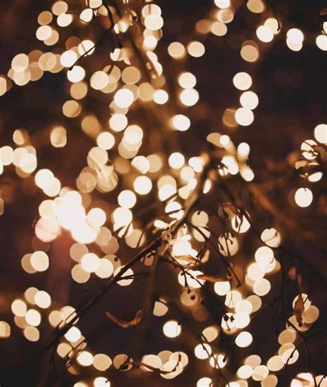 Doodlebug Designs Added A New Photo Doodlebug Designs