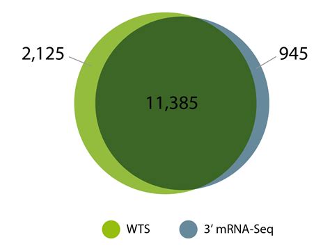 Ffpe Transcriptomics 3 Mrna Seq Vs Whole Transcriptome Sequencing