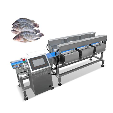 Automatic Weight Sorter Sorting And Grading Machine Machinery Weight Garder Classifier Graders