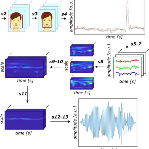 Schematic Representation Of The Proposed Sb Cwt Method The