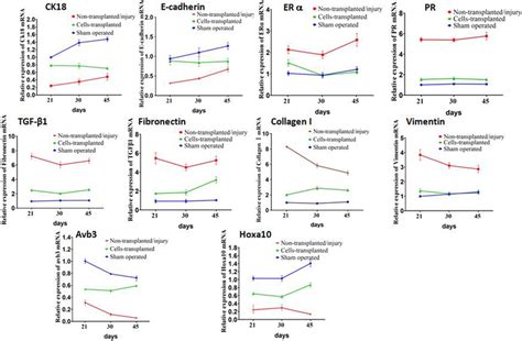 Mrna Expression Of Key Molecules During The Repair Of Uterine Download Scientific Diagram