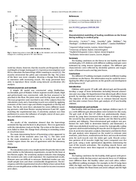 Pdf Musculoskeletal Modelling Of Loading Conditions On The Femur