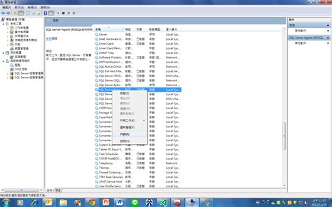 Williams Book Sql Server 無法從sql Server組態管理員開啟sql Server Agent及sql Server Browser解法