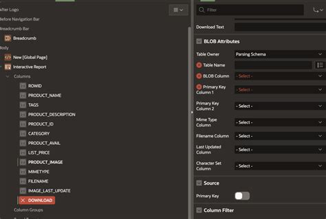 Efficiently File Download In Oracle Apex Ontoor Solutions Ontoor Blogs