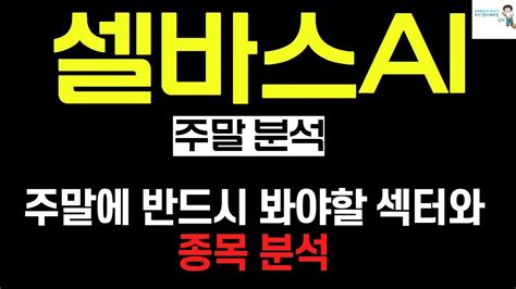 셀바스ai 주가전망 78월 Ai 섹터와 셀바스 유상증자 관련 대응 전략 Youtube