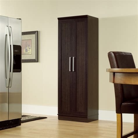 Sauder Kitchen Cabinets Sauder Homeplus Storage Cabinet In Dakota Oak