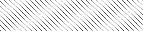 White Diagonal Slash Line Pattern Tilt Angle Texture Border Embroidery