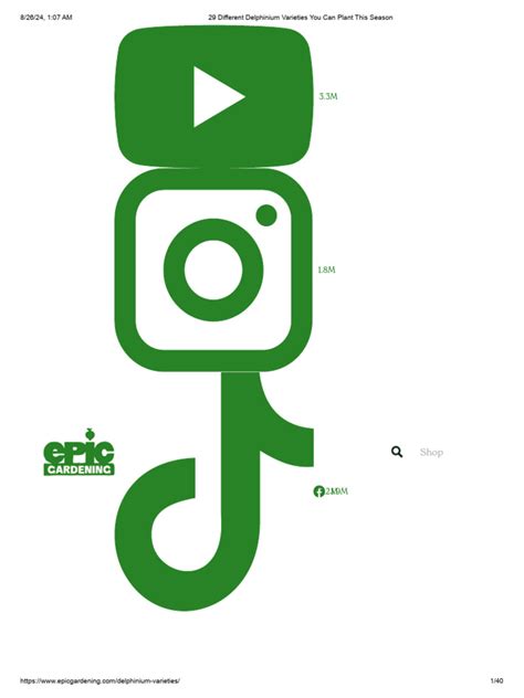 29 Different Delphinium Varieties You Can Plant This Season Pdf