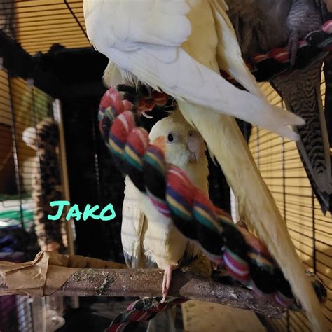 arduino controlled laser dot part of a larger project r arduino