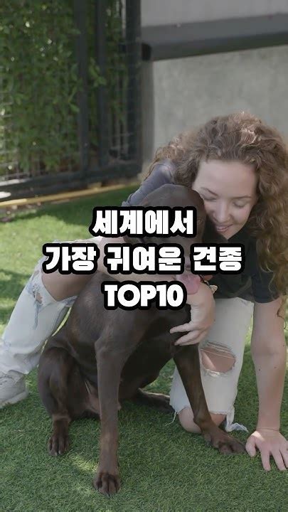 세계에서 가장 귀여운 견종 Top10 Youtube
