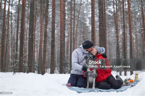개와 젊은 부부는 눈 덮인 숲에서 피크닉을 가지고 남자와 여자 키스 2명에 대한 스톡 사진 및 기타 이미지 2명 개 걷기 Istock