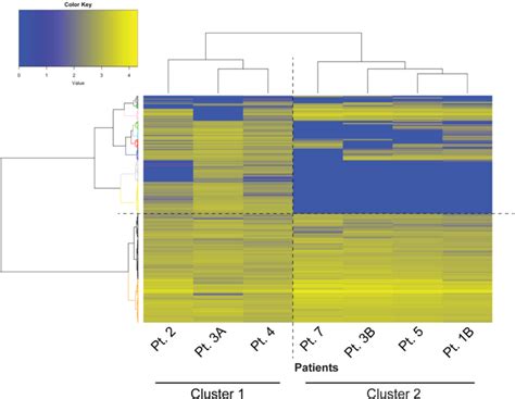 Gene Profiling Of Fd Patients Biopsies Performed With Nanostring Download Scientific Diagram