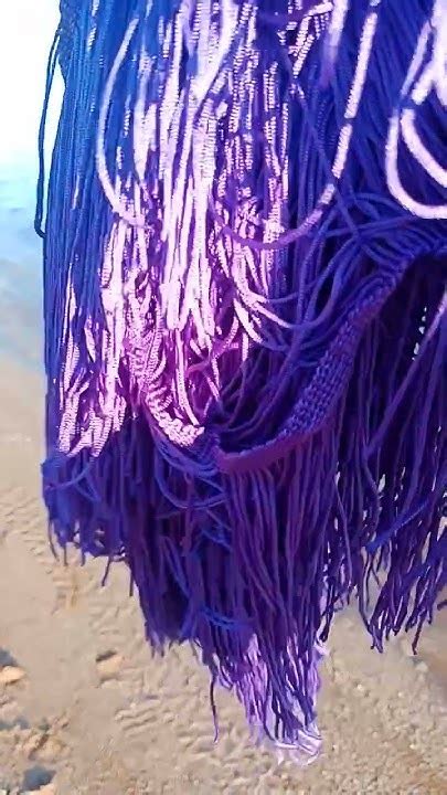 Составляющие костюма для танца живота Youtube