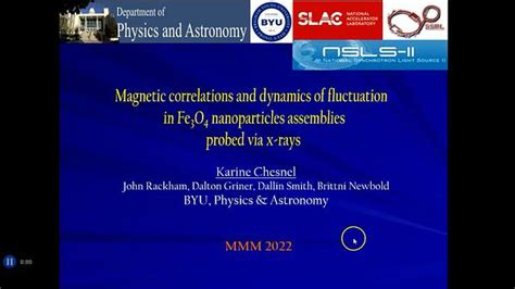 Underline Interparticle Magnetic Correlations And Dynamics Of Fluctuations In Assemblies Of